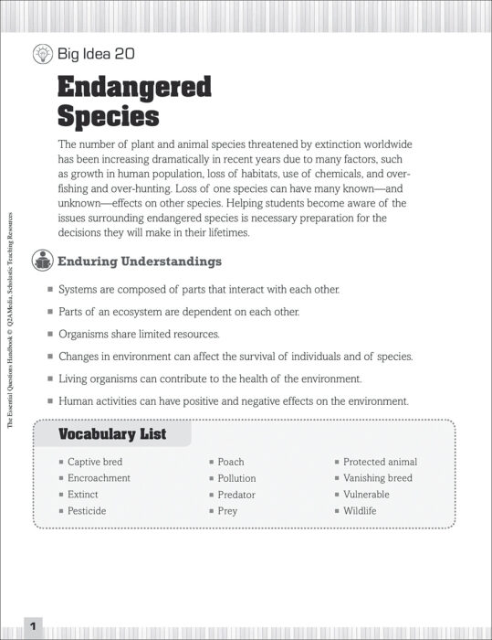product-detail-page