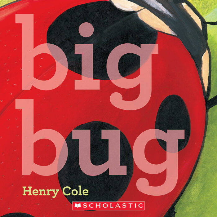 Big Bug by Henry Cole