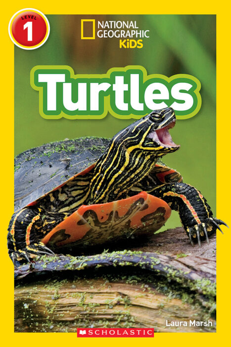 National Geographic Kids Readers: Turtles by Laura Marsh