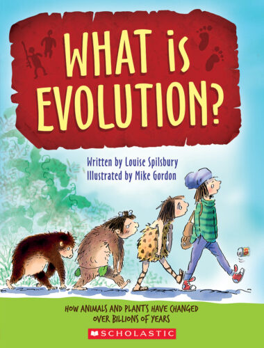 evolution for ks1