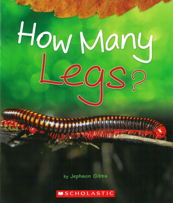 How Many Legs? by Jephson Gibbs