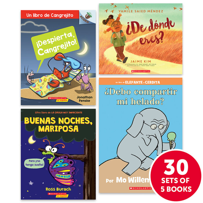 My Books Summer Spanish Grade 1 Fiction - Classroom Set by
