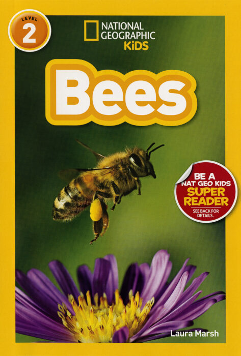 National Geographic Kids Readers: Bees by Laura Marsh