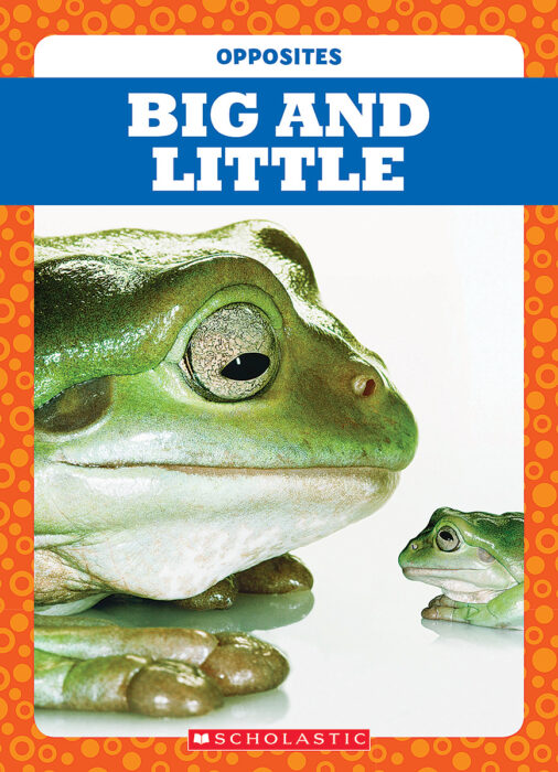 Opposites: Big and Little by Erica Donner
