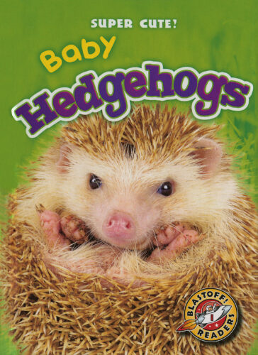 how to make a hedgehog out of a paperback book