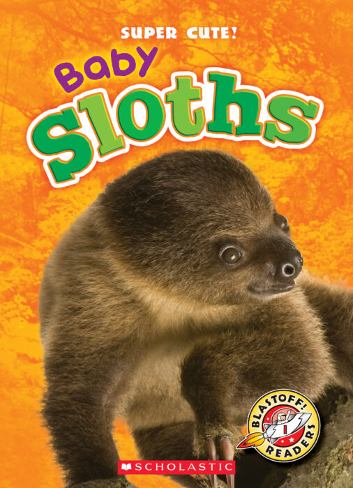 Blastoff! Readers - Super Cute!: Baby Sloths by Kari Schuetz