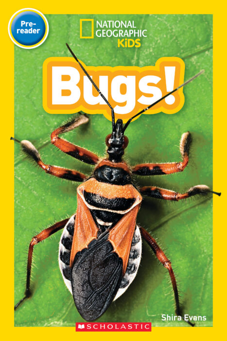 National Geographic Kids Readers: Bugs! by Shira Evans