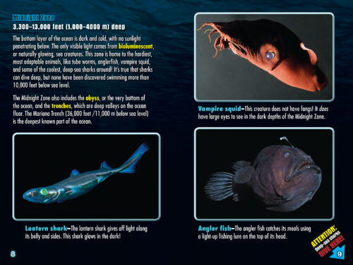 Lantern Fish Dragon Level 7