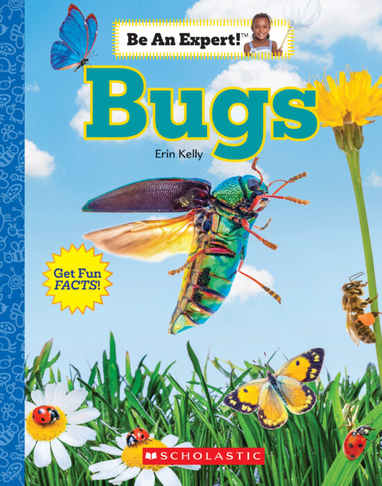 Be An Expert!™: Bugs by Erin Kelly